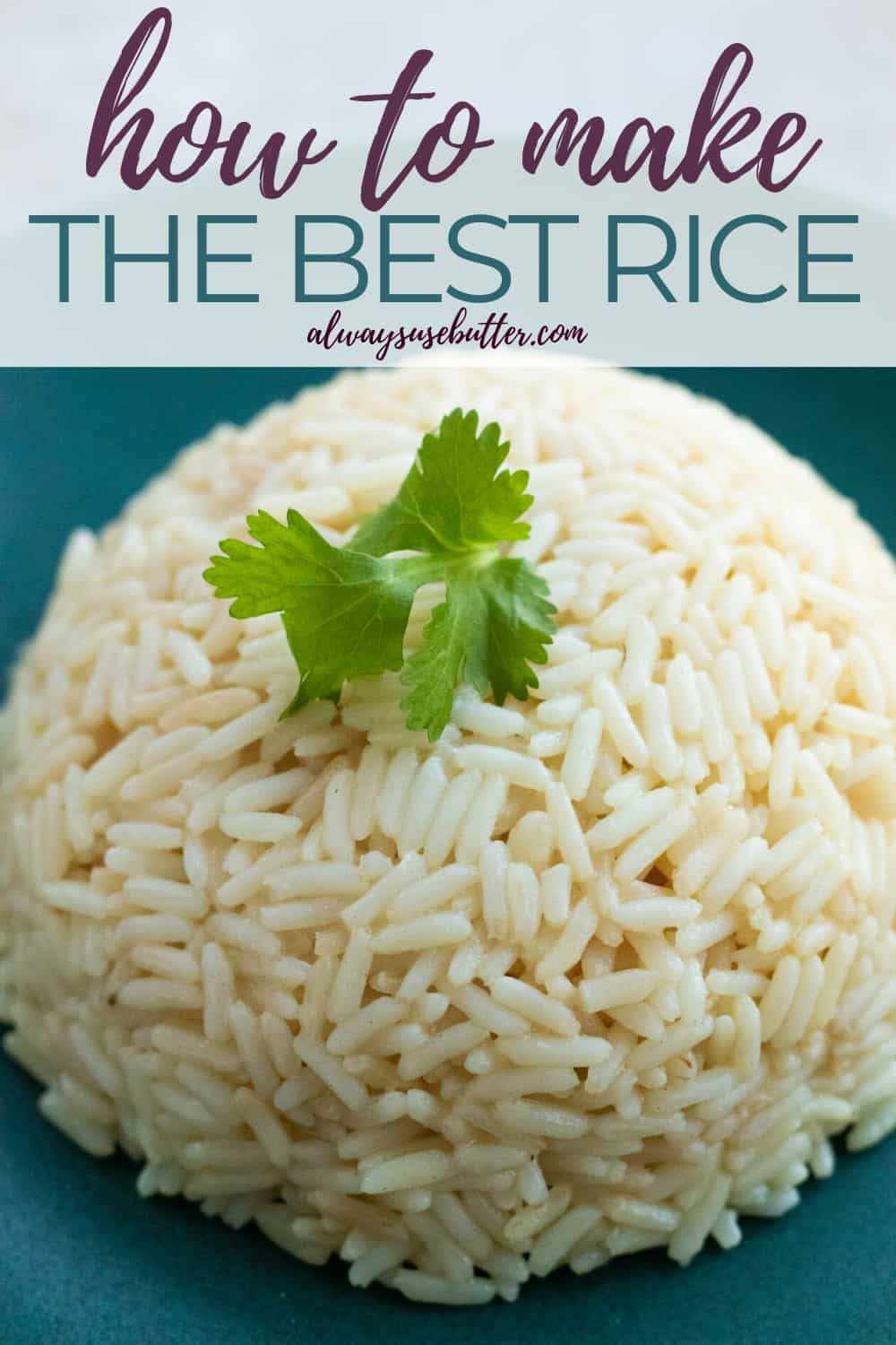 Seasoned Butter Rice [with Vegan Option] - always use butter